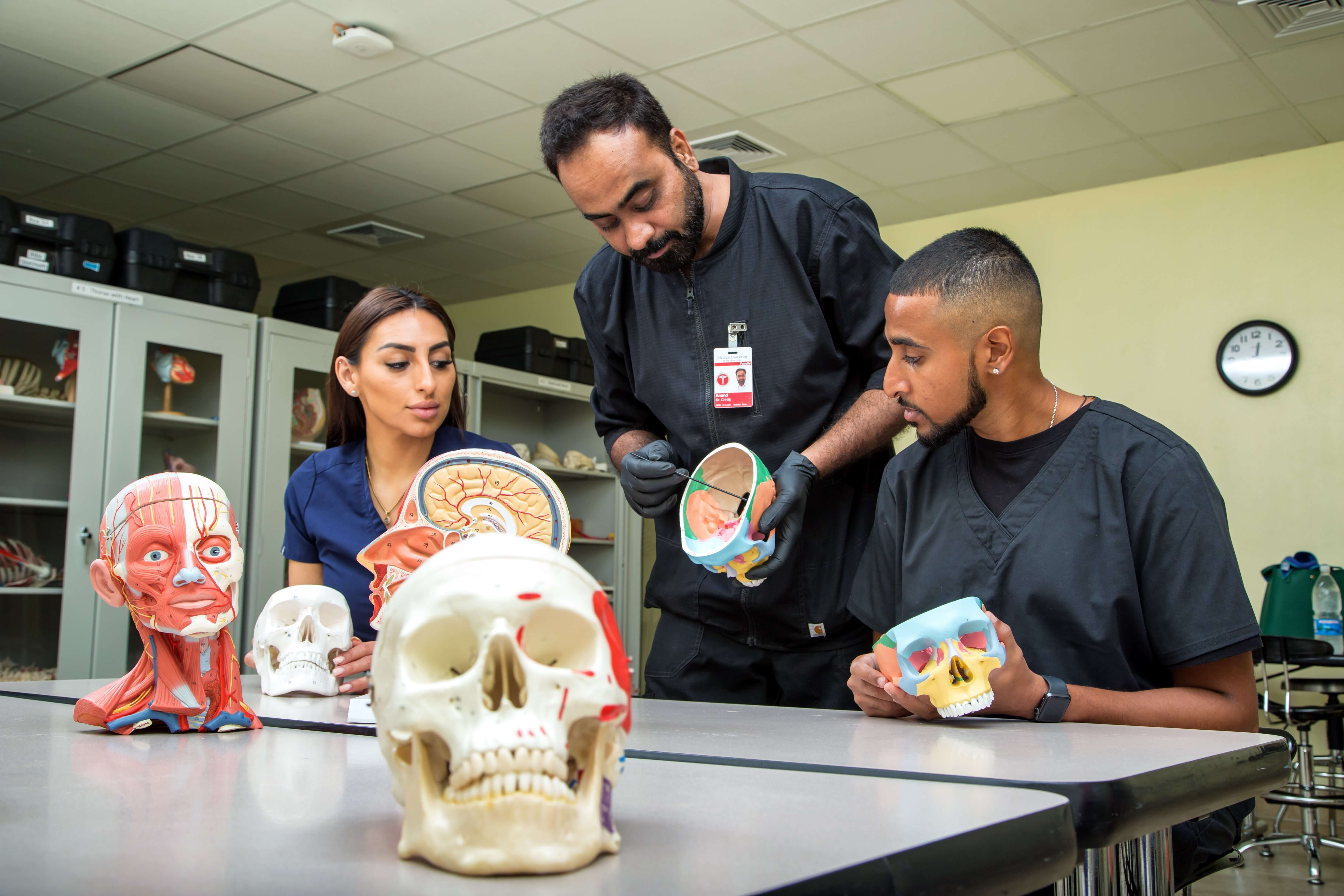 What Are the Different Types of Doctors and What Do They Do? - Medical ...